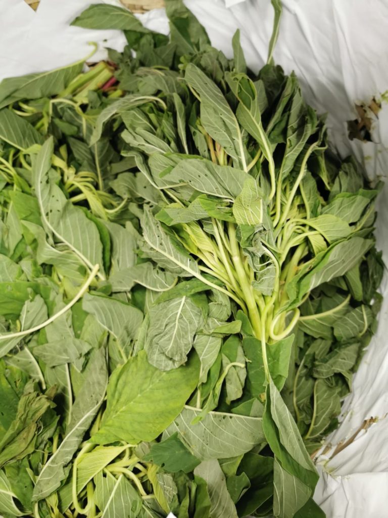 FOLON | Envies d'Afrique