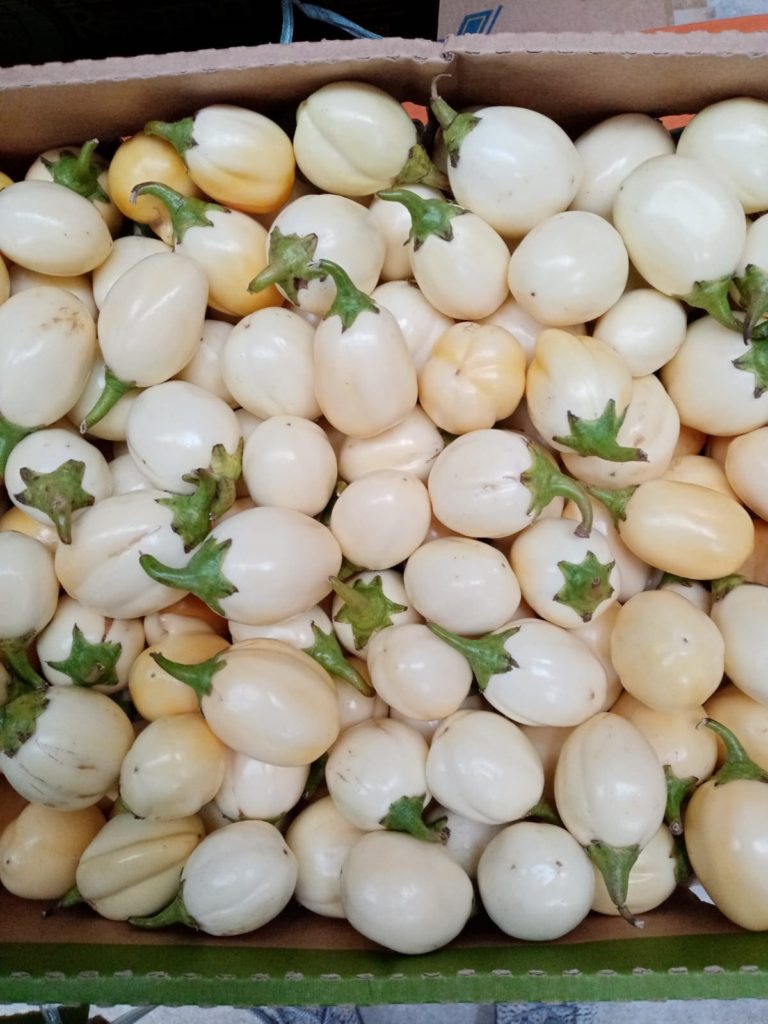 AUBERGINE AFRICAINE 500G | Envies d'Afrique